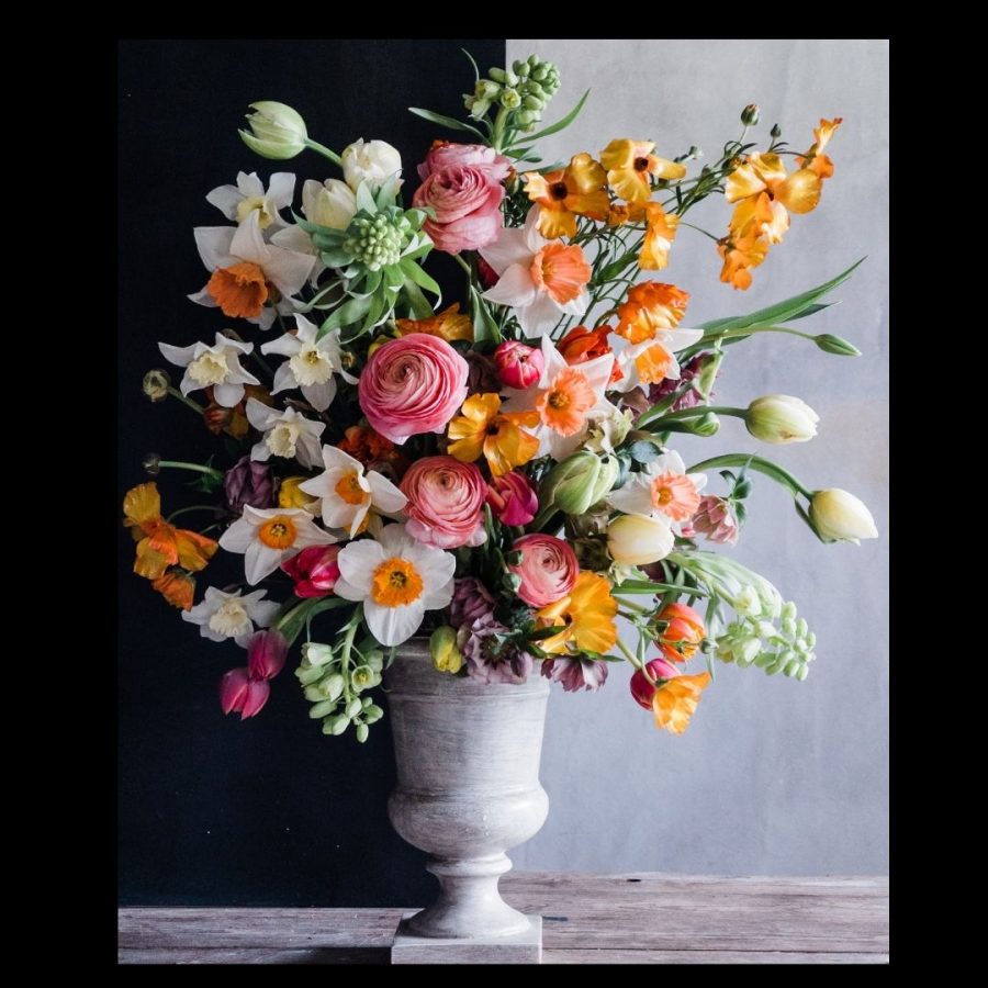 WORKSHOPS – Sabine Darrall Floral