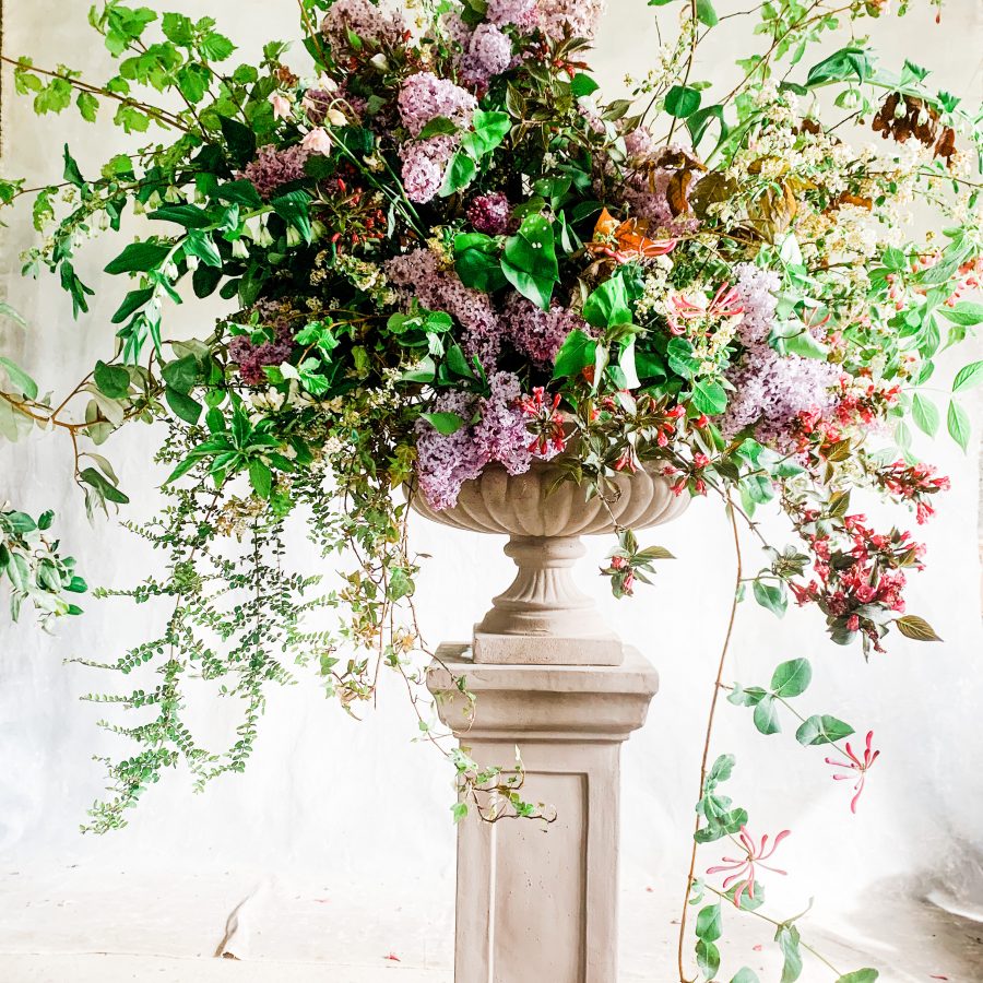 WORKSHOPS – Sabine Darrall Floral