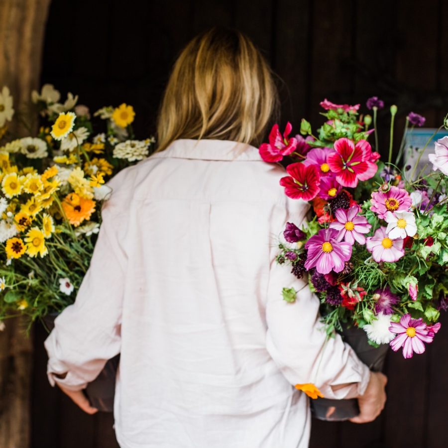 WORKSHOPS – Sabine Darrall Floral