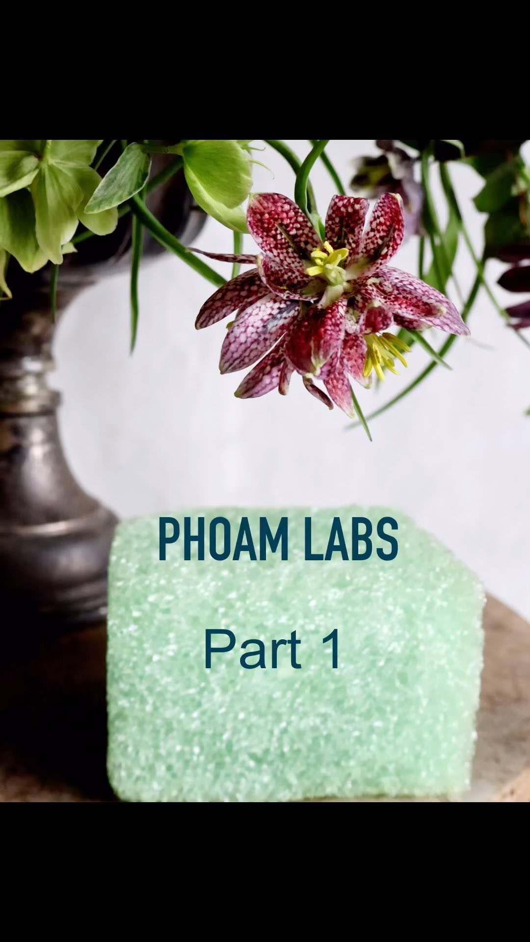 WORKSHOPS – Sabine Darrall Floral